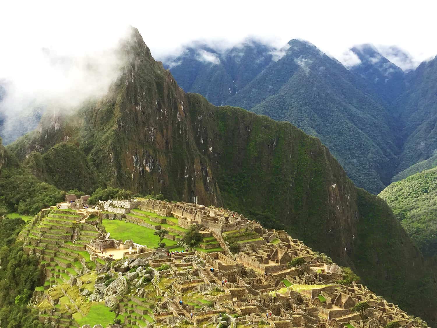 Llamas of Machu Picchu – Icons of Peru’s Ancient Citadel