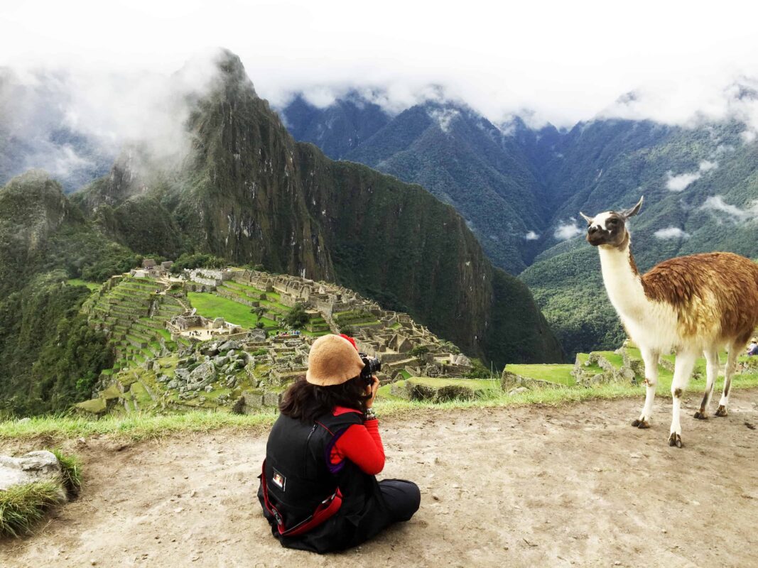 Llamas of Machu Picchu – Icons of Peru’s Ancient Citadel