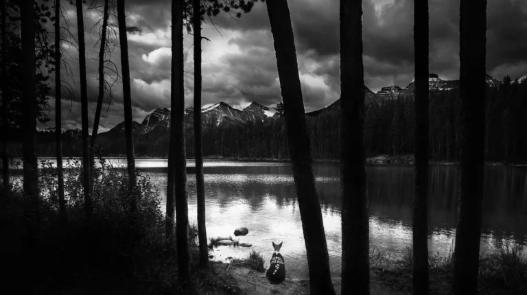 Black and White Chiaroscuro Tenebrism Dark Art Landscapes